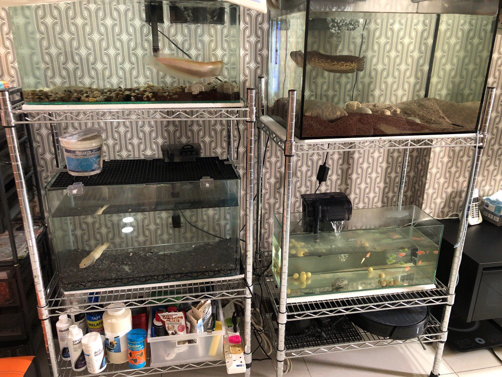 Stainless steel racking system with adjustable tray rack (3 trays ...