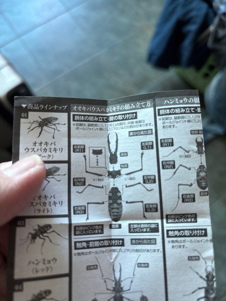 Bandai Gachapon Capsule Stick Insect Grasshopper, Hobbies & Toys, Toys ...