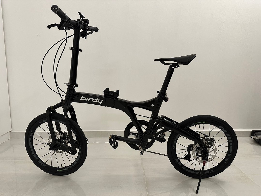 Birdy R20 Bicycle no modifications (Premium Black), Sports Equipment ...