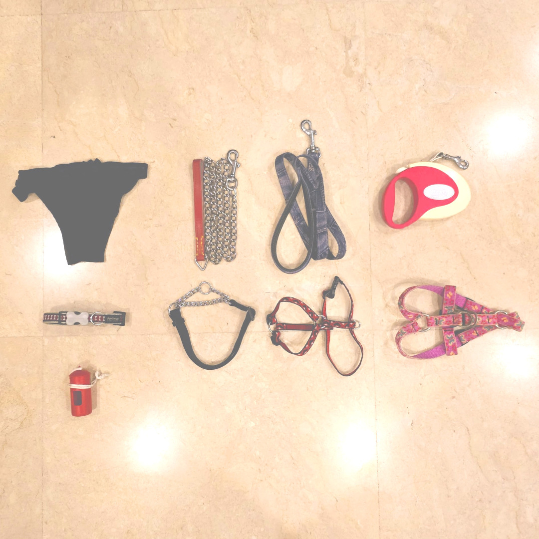 [Made in Australia / Germany] Flexi Red Dingo Canvas Fabric Leather Plastic Stainless Steel ...