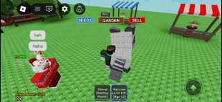 Raccoon grow a garden roblox, Video Gaming, Video Games, Others on ...