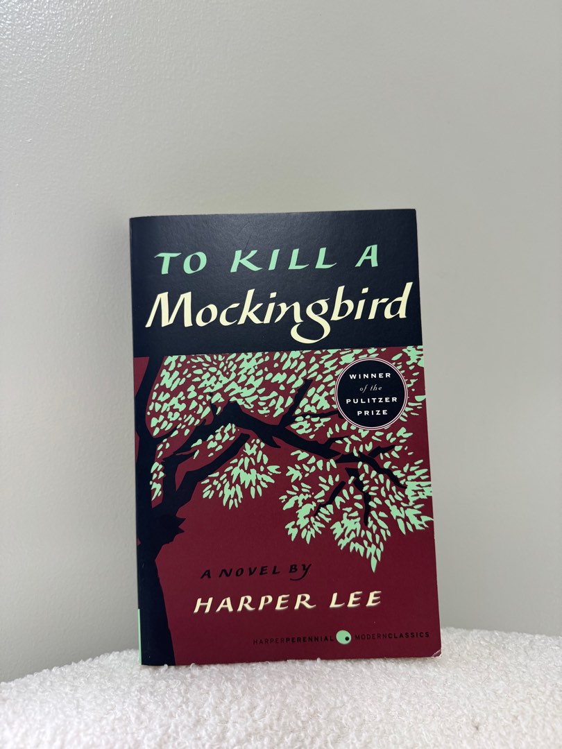 To Kill a Mockingbird Book, Hobbies & Toys, Books & Magazines, Fiction ...