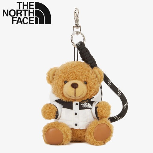 4 color TNF THE NORTH FACE doll Bear wearing Mountain jacket MT BEAR KEYRING key doll hung on ...