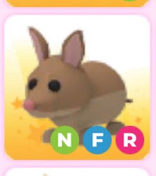Adopt Me Roblox: NFR Pet, Video Gaming, Gaming Accessories, In-Game ...