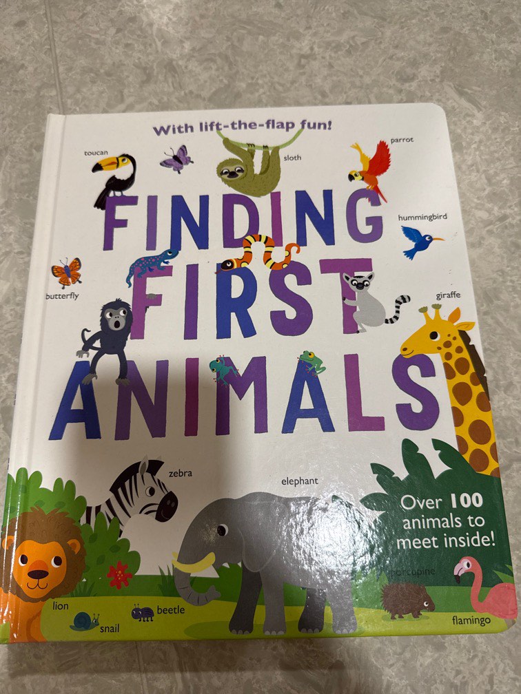 Children Book - Finding First Animals, Hobbies & Toys, Books ...
