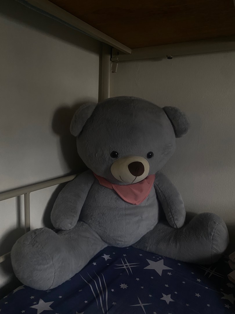 Original Kaison Bear, Hobbies & Toys, Toys & Games on Carousell