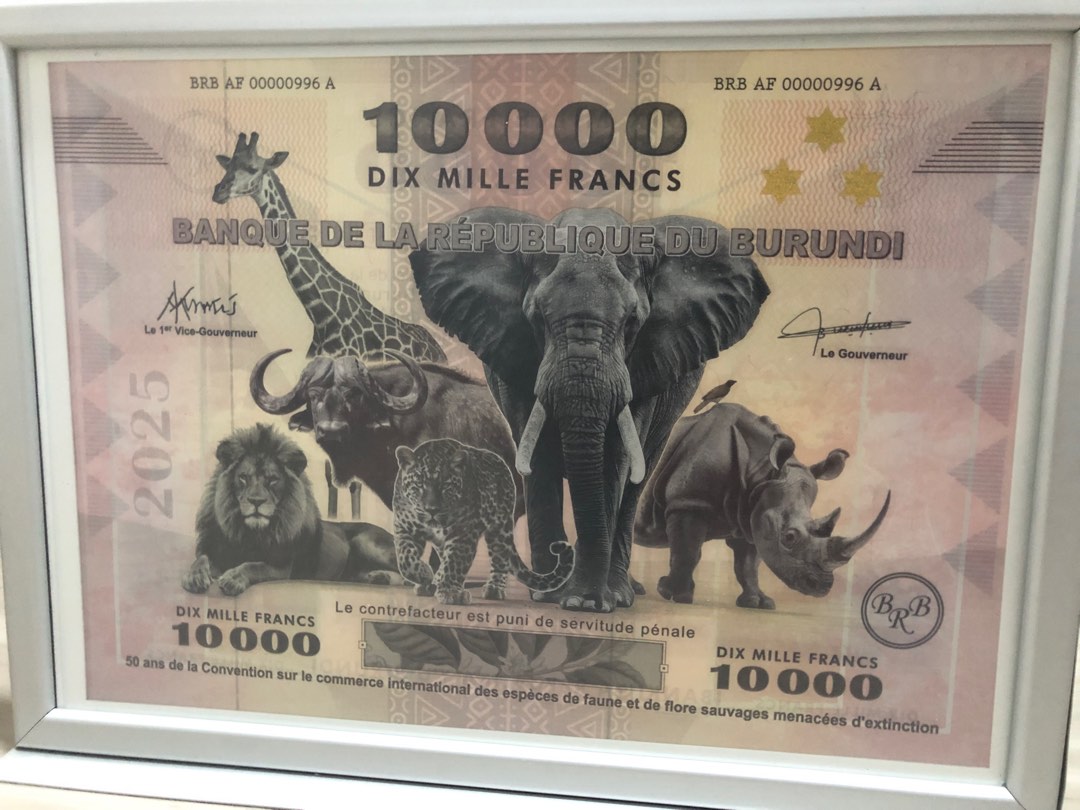 World's Largest Banknote - 10,000 franc note (Burundi), Hobbies & Toys ...