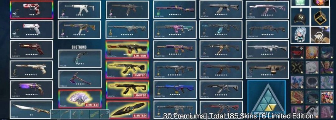 WTS Premium Valorant Account - Ignite Fan | VCT x T1 Capsule ...
