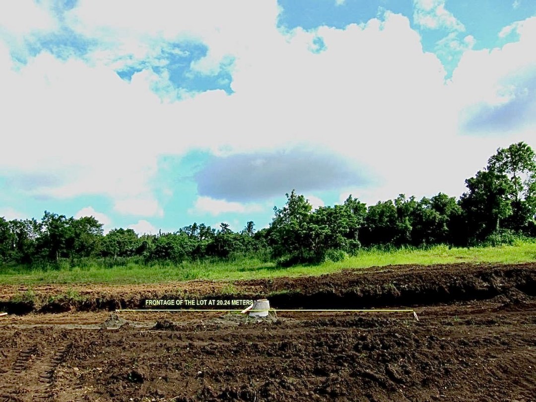 ELARO by Ayala Premiere Lot For Sale, Property, For Sale, Lot on Carousell