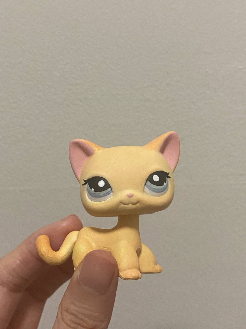 LPS #339 custom, Hobbies & Toys, Toys & Games on Carousell