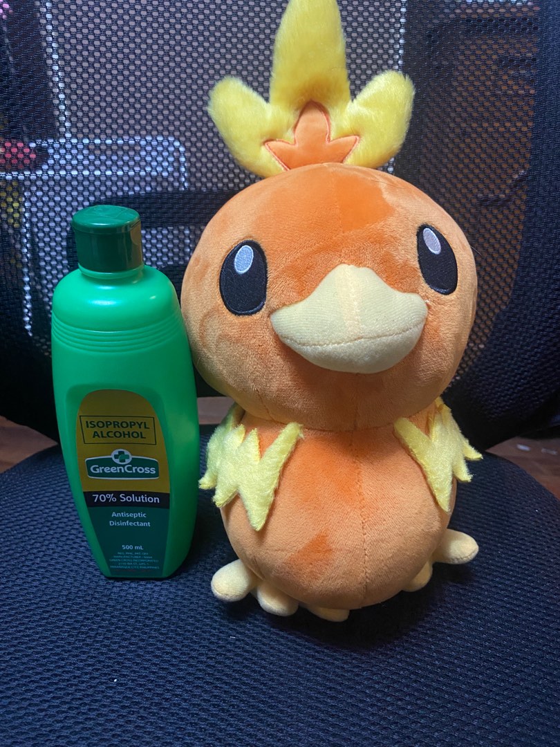 Pokemon Torchic Plush, Hobbies & Toys, Toys & Games on Carousell