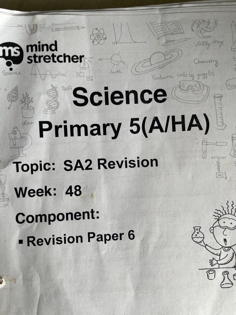 Primary 5 Mind Stretcher Science, Hobbies & Toys, Books & Magazines ...