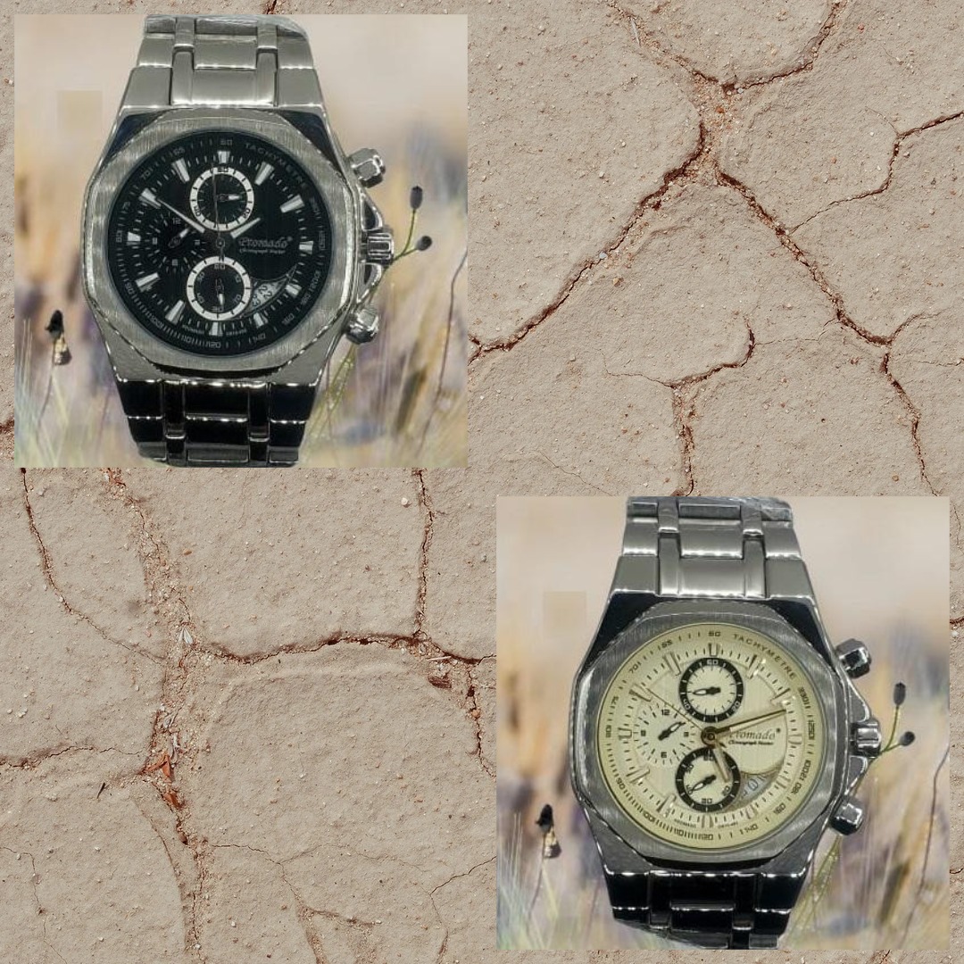 Promado Chronograph STG493M Stainless Steel Gentlemen Watch Citizen ...