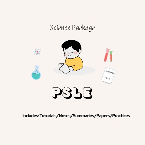 PSLE Science Package (Past Year Papers/Summaries/Tutorials/Resources), Hobbies & Toys, Books ...
