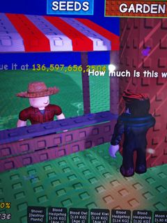 Selling 280b Sheckles In Grow A Garden Roblox, Video Gaming, Video ...