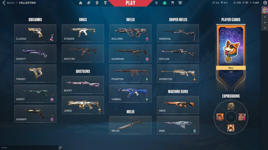 Valorant Asc Peak // Skins, Video Gaming, Gaming Accessories, In-Game ...