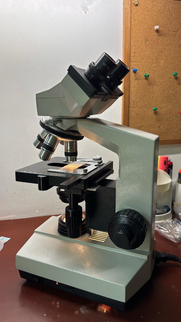 Compound Microscope, Everything Else, Others on Carousell