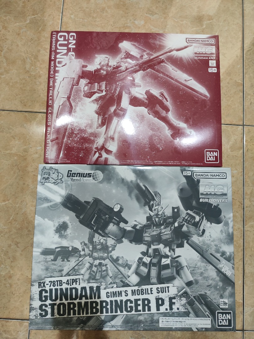PBANDAI MG 1/100 STORMBRINGER PF + GUNDAM DYNAMES TRANS ARM VER ...