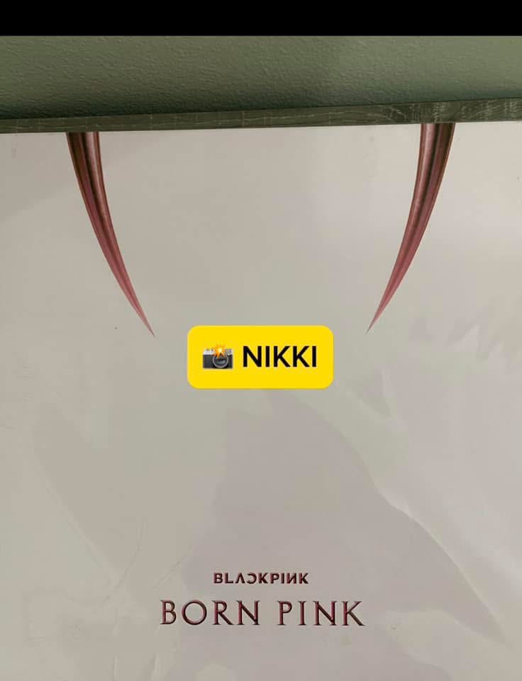 BLACKPINK BORN PINK VINYL LIMITED EDITION, Hobbies & Toys, Music ...
