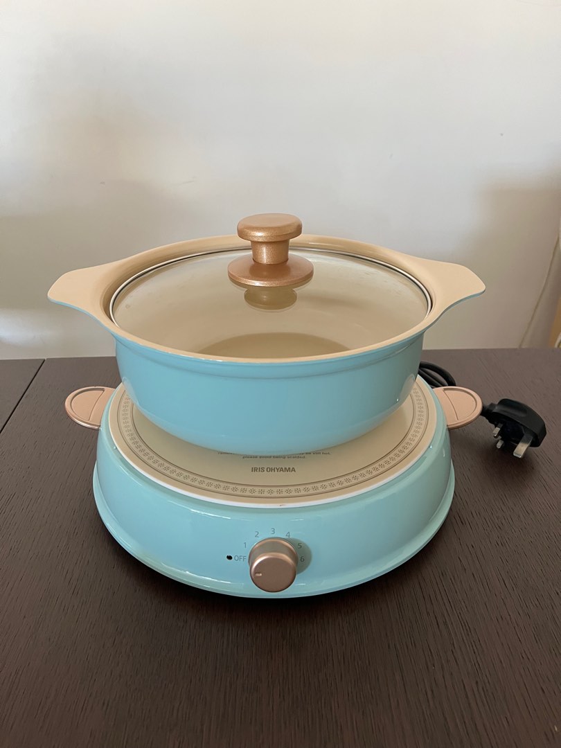 Iris Ohyama Induction Hot Pot, Furniture & Home Living, Kitchenware ...