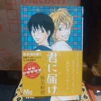 komik manga impor Kimi ni todoke 8 / komik manga impor Kimi ni todoke ...
