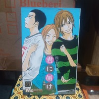 komik manga impor Kimi ni todoke 6 / komik manga impor Kimi ni todoke ...