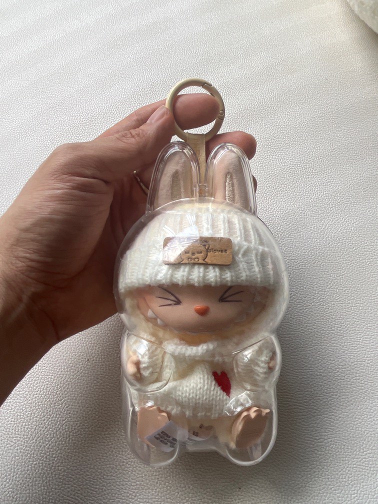 Labubu Sisi with Clothes and Protective Case, Hobbies & Toys, Toys ...