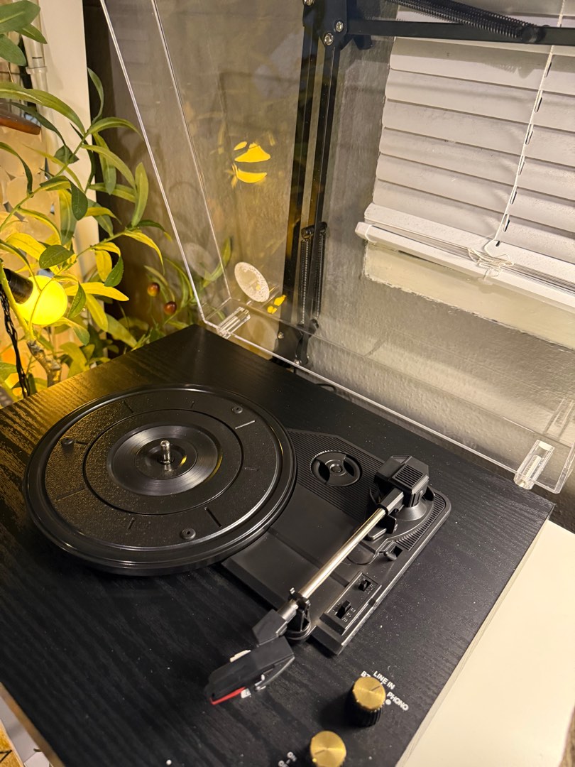 Middix Vinyl Record Player Turntable, Audio, Portable Music Players on ...