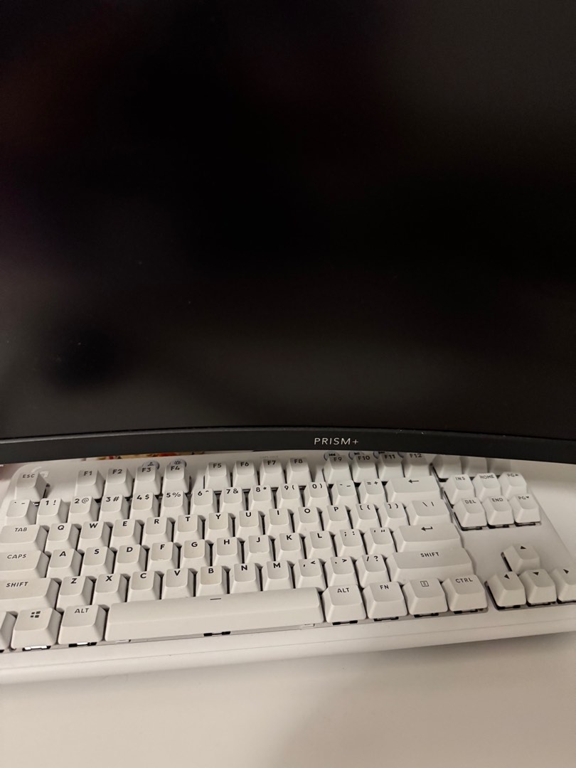 PRISM Monitor/ Logitech Keyboard, Computers & Tech, Parts & Accessories ...