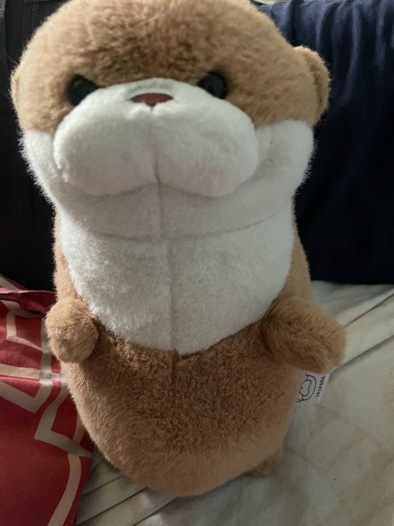 wooso wooso cute otter plush (from south korea), Hobbies & Toys, Toys & Games on Carousell