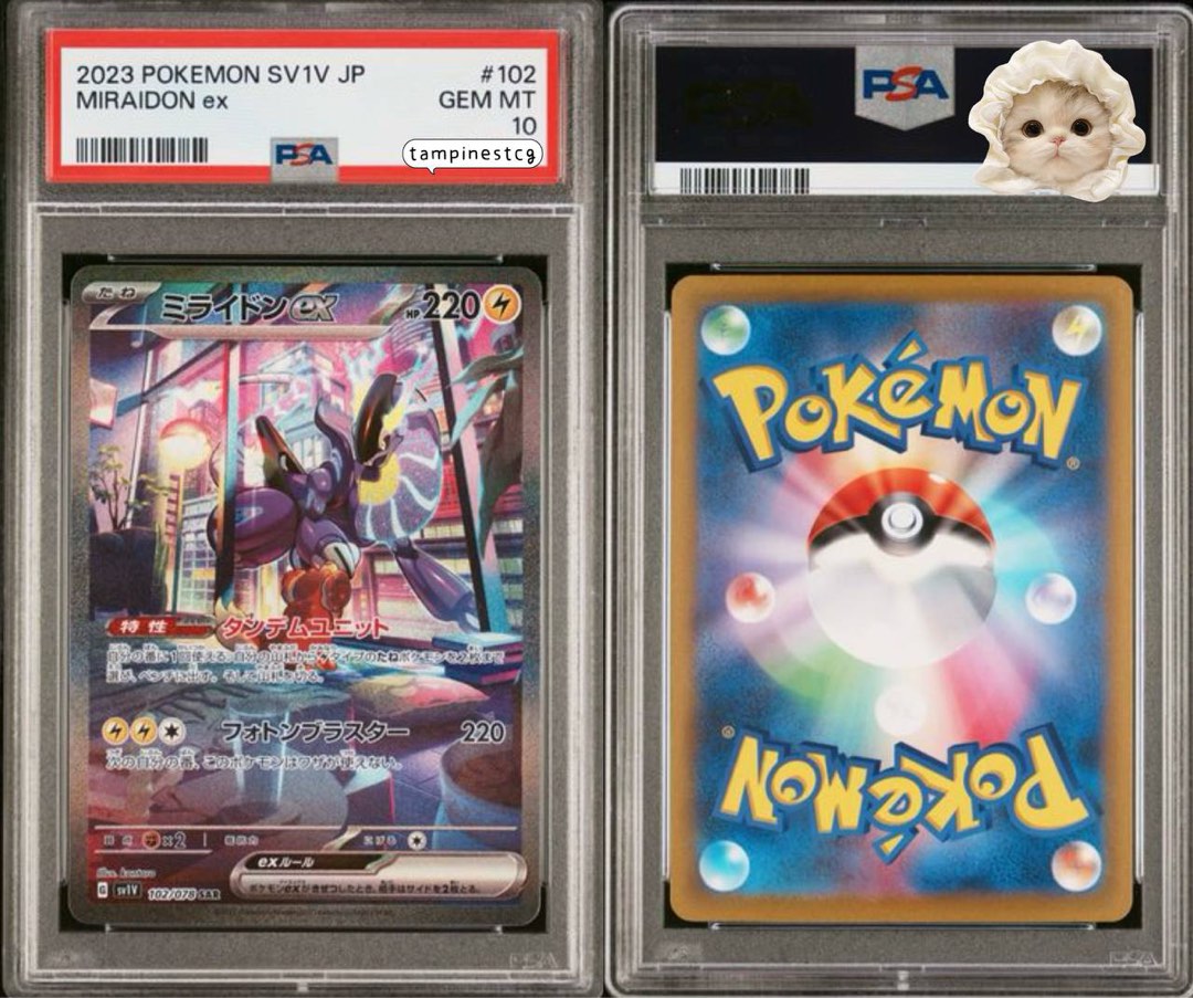 PSA 10 Miraidon Japanese SAR Pokemon Slab, Hobbies & Toys, Toys & Games ...