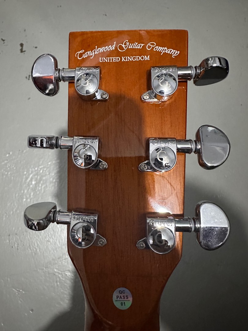 Tanglewood TW6 CE BW Winterleaf Exotic Super Folk Acoustic-Electric ...
