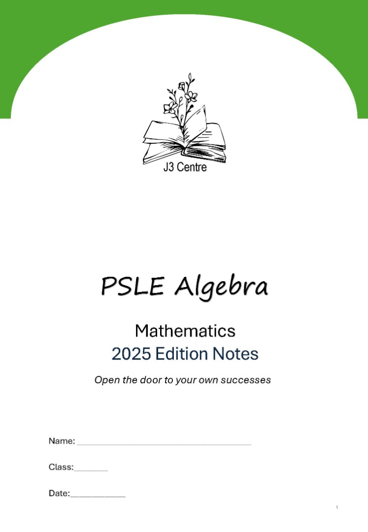 2025 PSLE Standard Math Notes, Hobbies & Toys, Books & Magazines ...