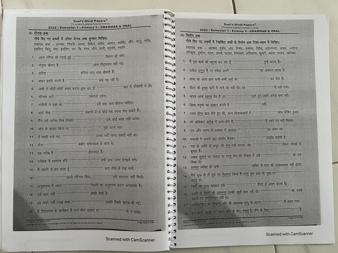 Hindi papers Primary 5 and Primary 6 , Hobbies & Toys, Books ...
