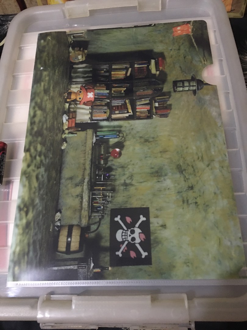 One Piece Chopper Clear file Folder, Hobbies & Toys, Stationary & Craft ...