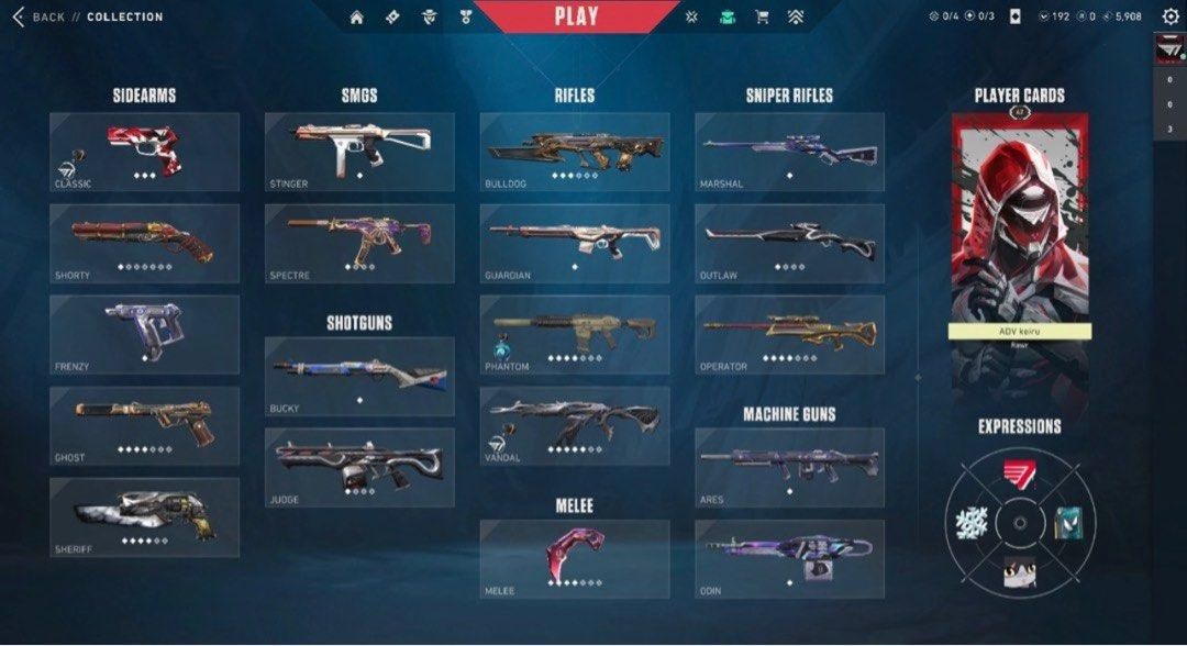 WTS 15 prem valorant, Video Gaming, Gaming Accessories, In-Game ...