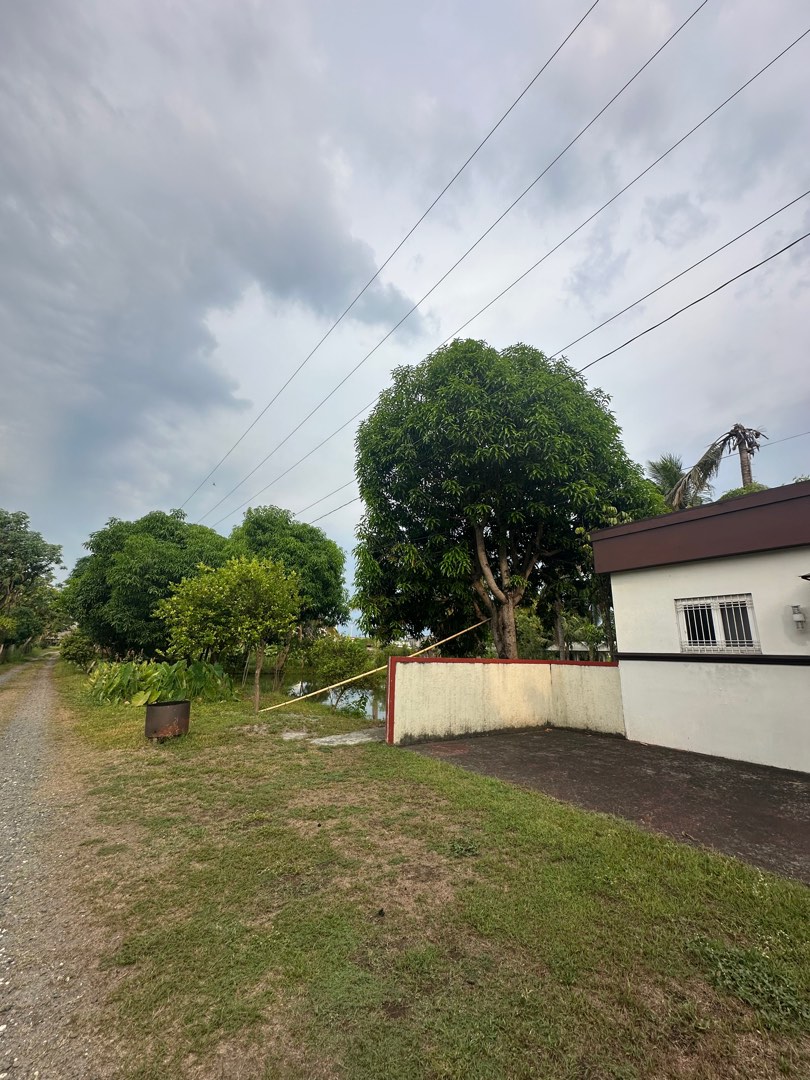 5 hectare Lot with 2 Storey House, Property, For Sale, House & Lot on ...