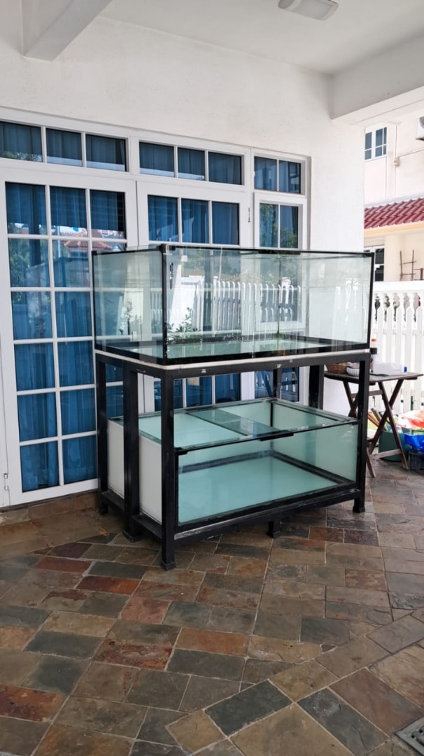 PLS READ DESCRPITION - WTT 5ft X 3ft X 2ft Fish Tank Aquarium for good ...