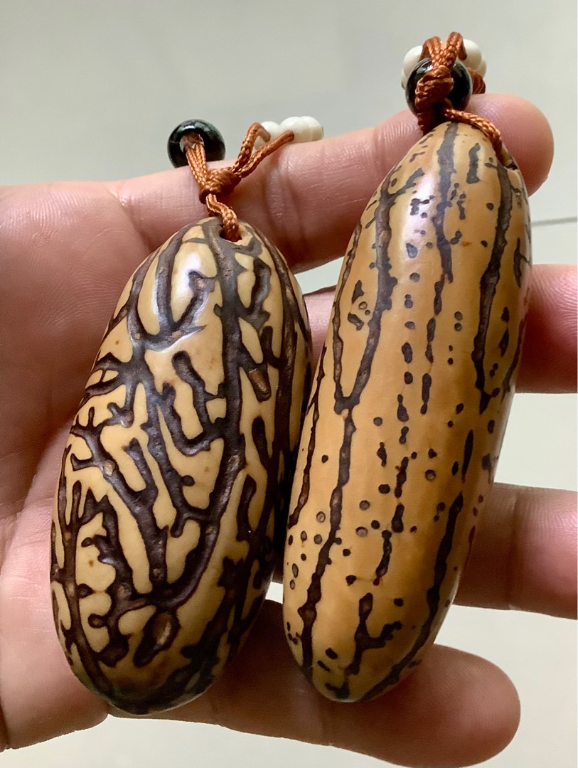 Bodhi Seed, Hobbies & Toys, Memorabilia & Collectibles, Vintage ...