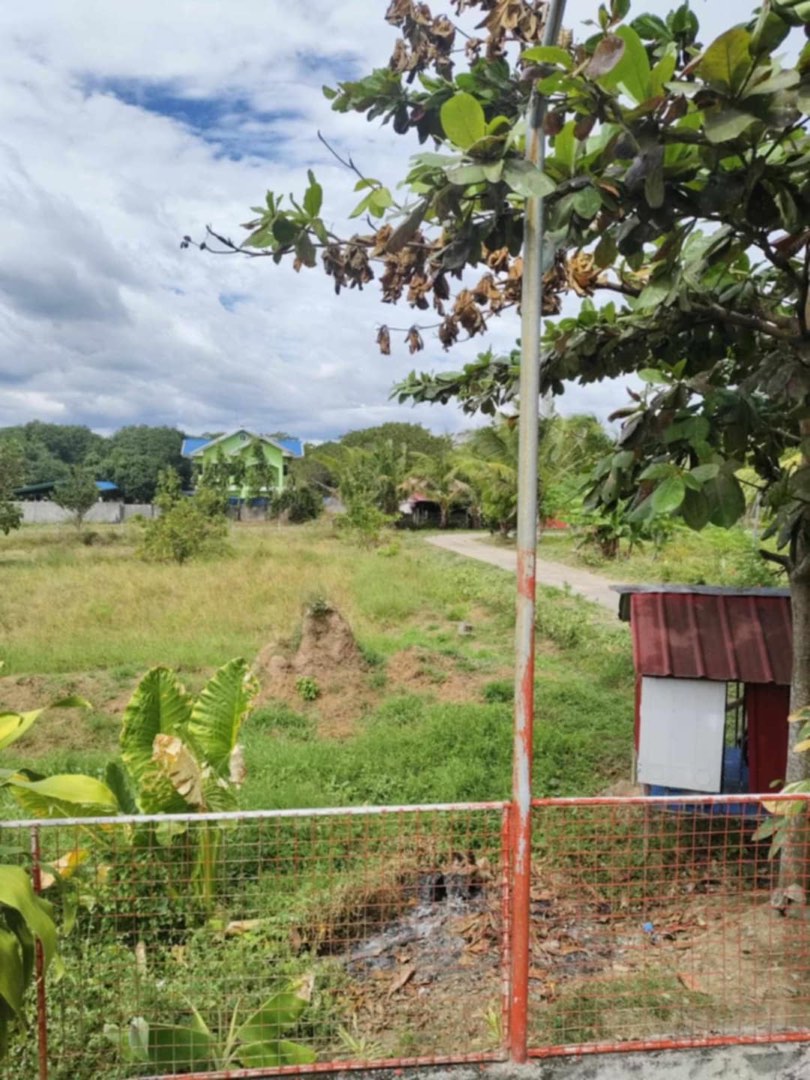 FOR SALE: 1.6- Hectare Farm Lot with Houses, Pools, and Fruit Trees ...