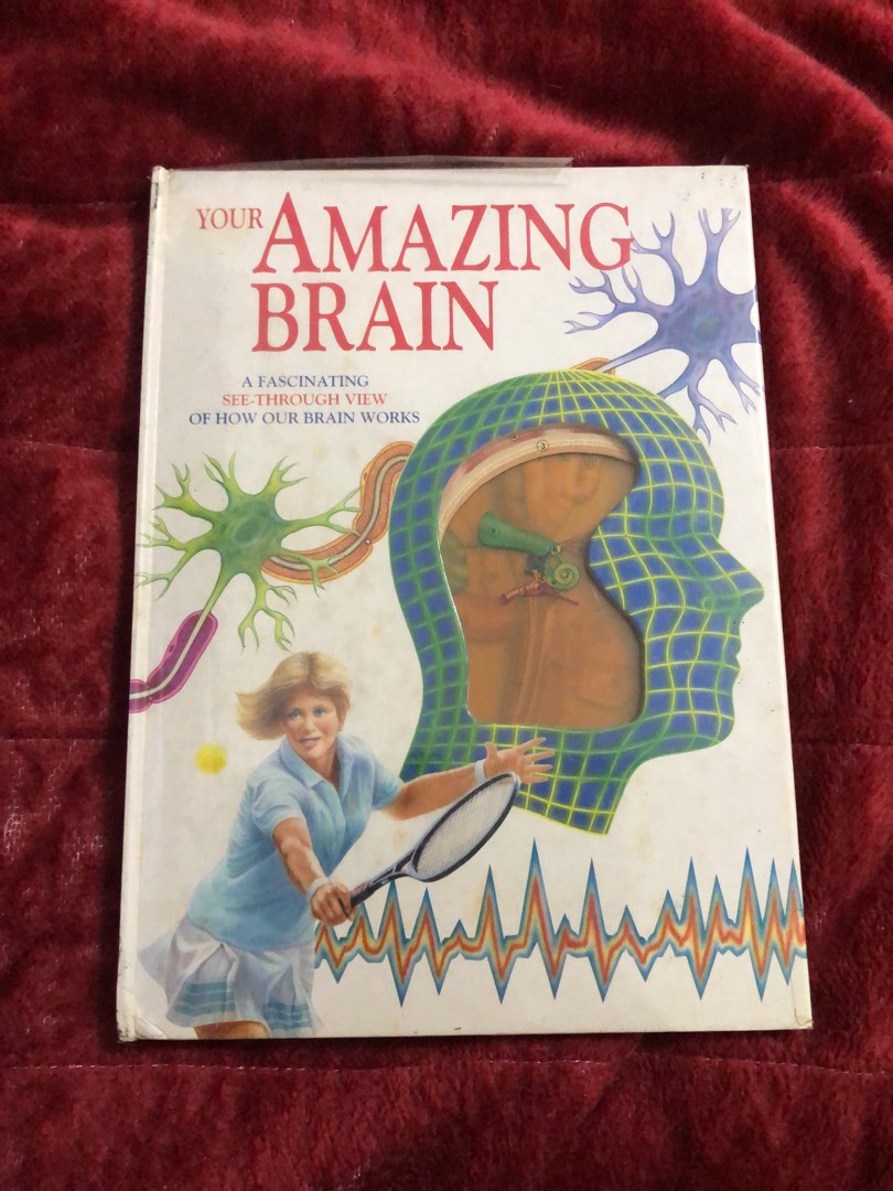 Your amazing brain by Jenny Bryan, Hobbies & Toys, Books & Magazines ...