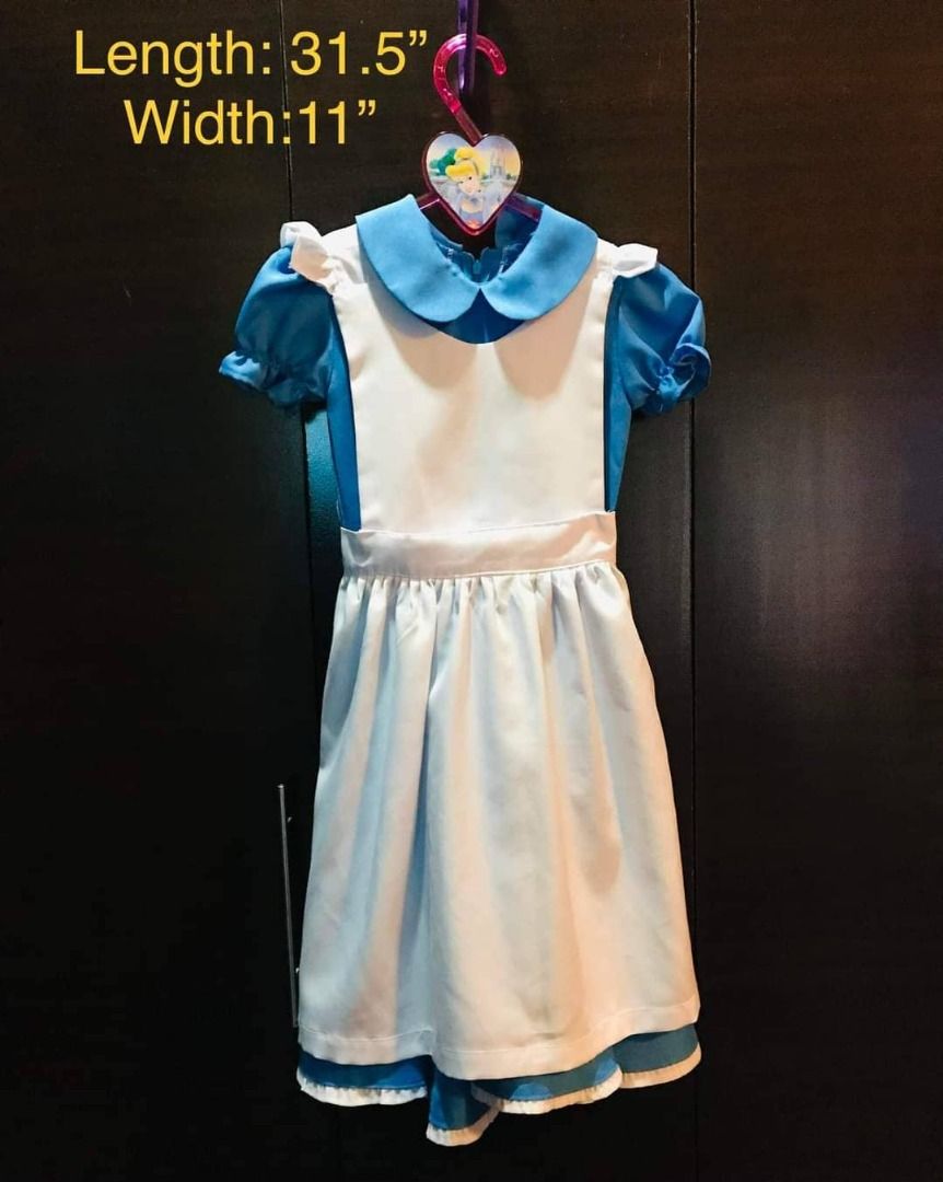 Alice in Wonderland Costume, Hobbies & Toys, Toys & Games on Carousell