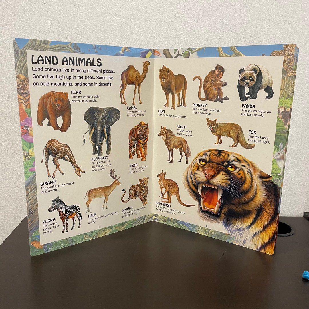 Animal Kingdom Big Book, Hobbies & Toys, Books & Magazines, Children's ...