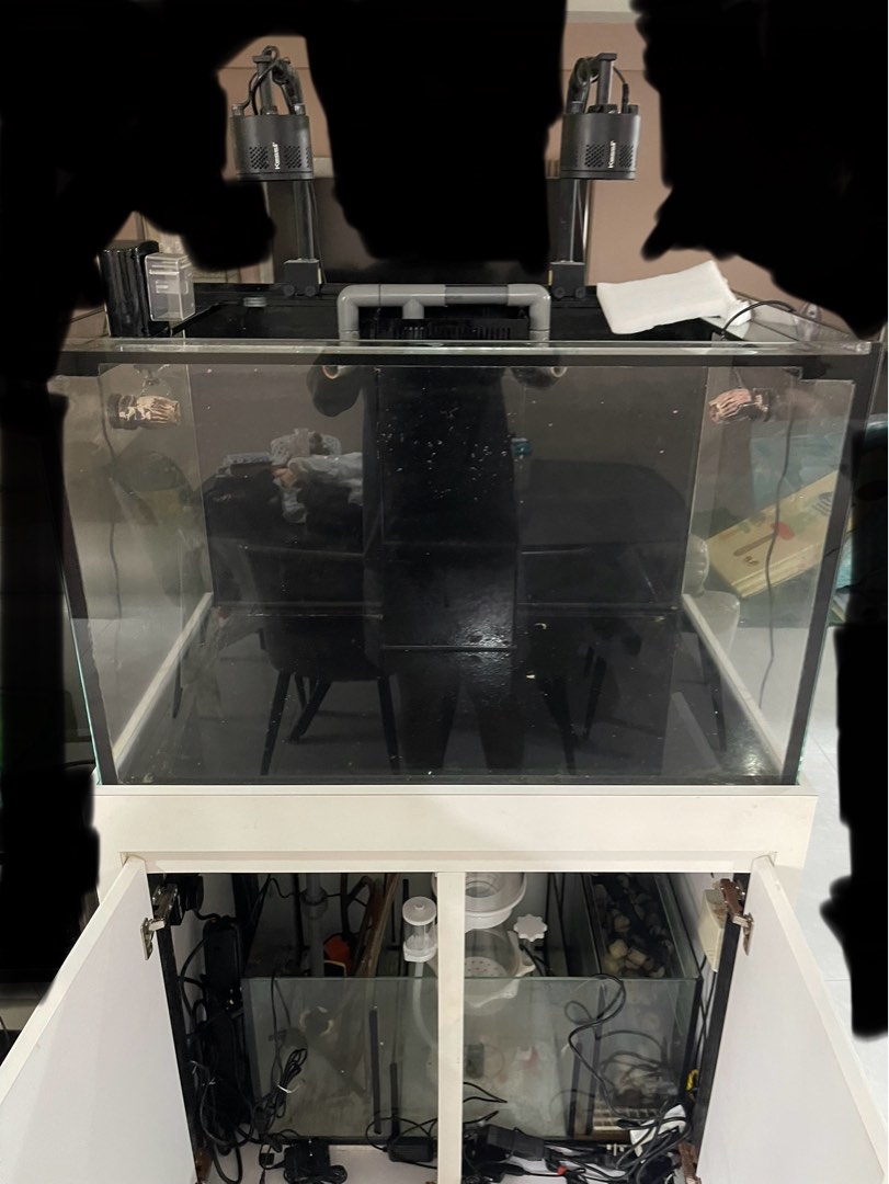 3 feet Fish tank with cabinet (Marine), Pet Supplies, Homes & Other Pet ...