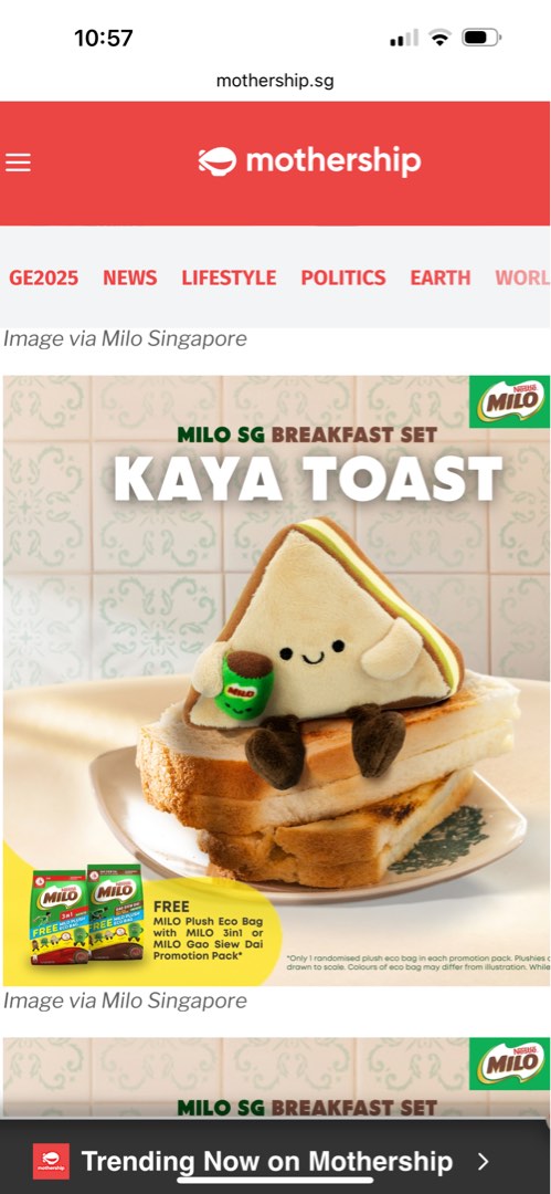 Milo toast plush 2025, Food & Drinks, Other Food & Drinks on Carousell