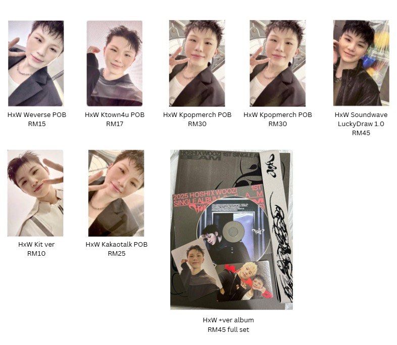 Seventeen HxW Beam Woozi pc, Hobbies & Toys, Collectibles & Memorabilia ...