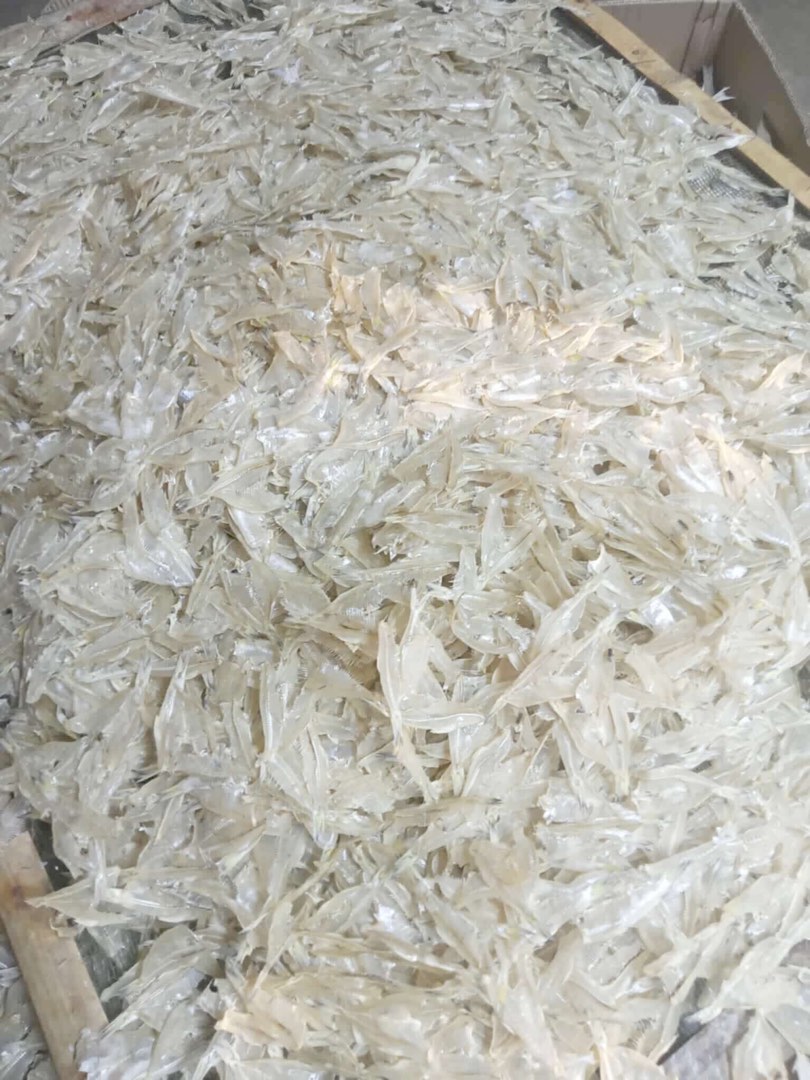 Boneless Bolinao Unsalted Dried Fish Tuyo, Food & Drinks, Packaged ...