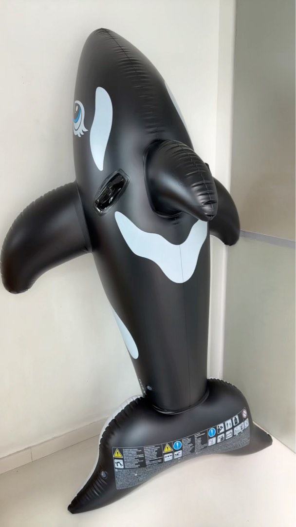 Intex Orca Float - Used Once, Sports Equipment, Sports & Games, Water ...
