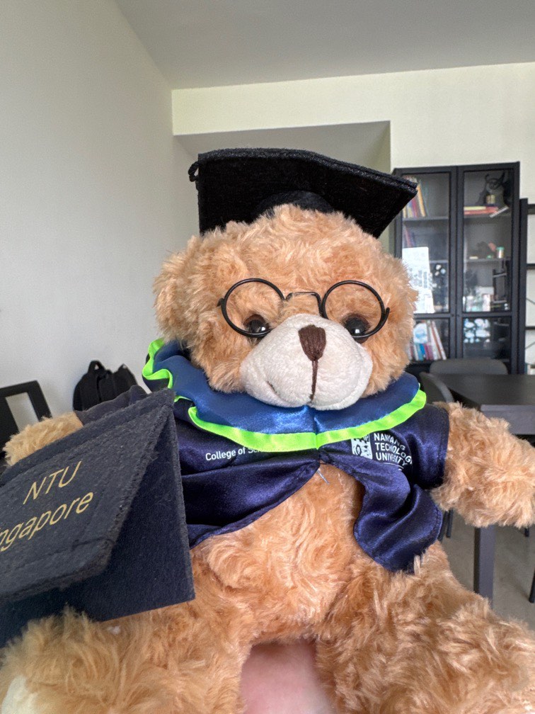 NTU Science Graduation Bear - Class of 2033, Hobbies & Toys, Toys ...