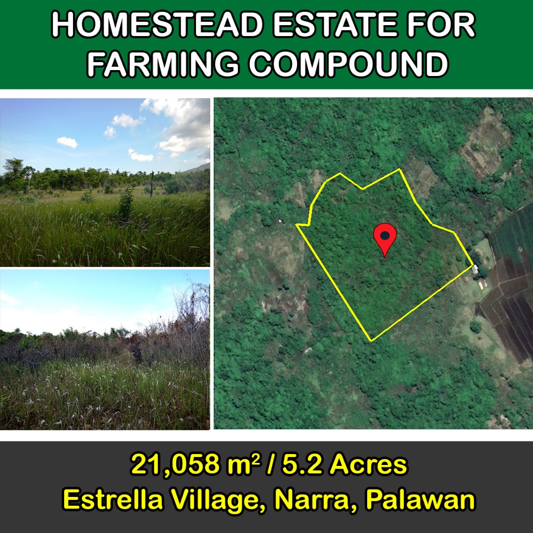 21,058 m2 / 5.2 Acres | Homestead Estate for Farming Compound, Property ...